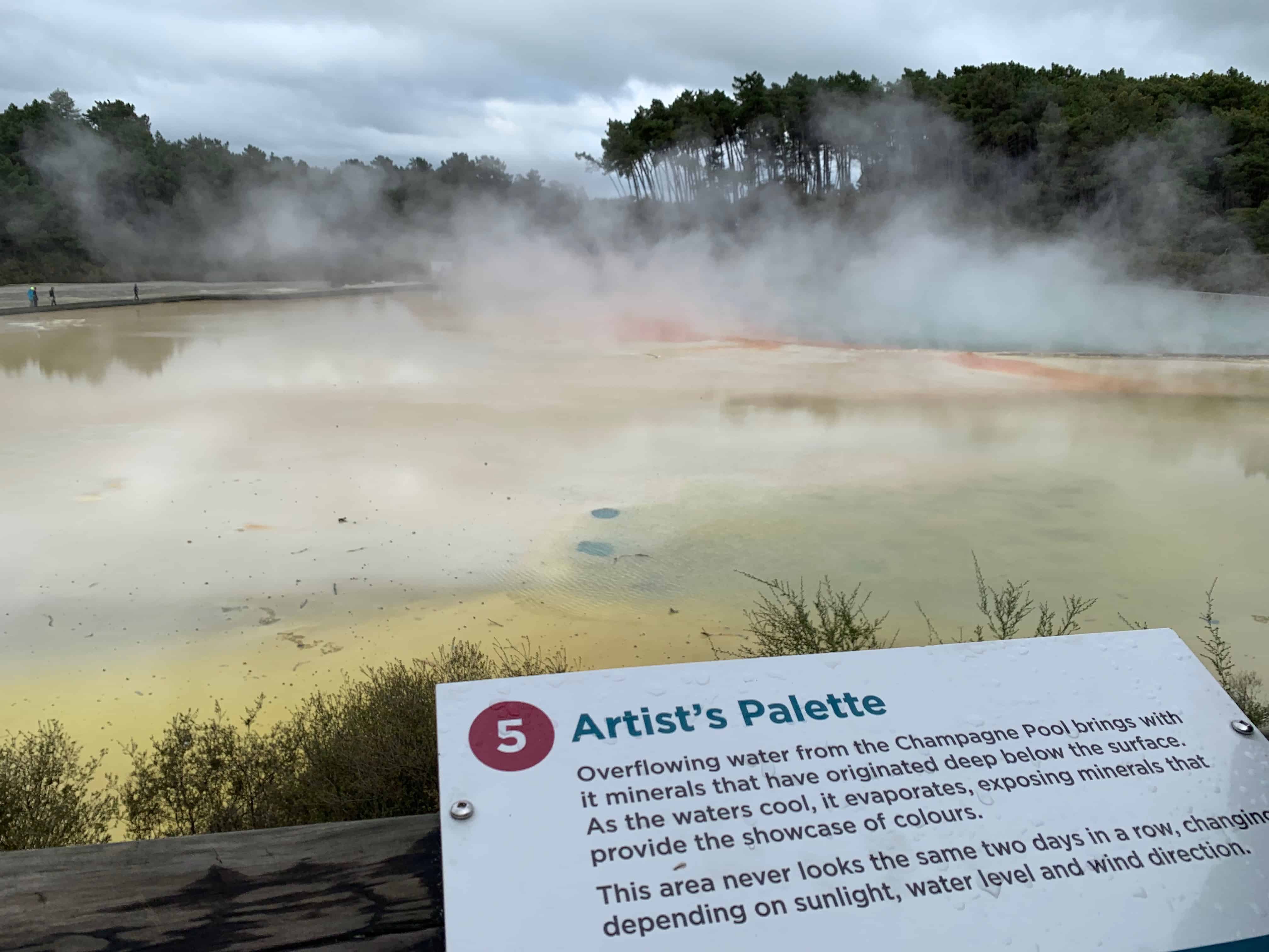 5 Best Things To Do In Rotorua For Kids. Fun Family Travels