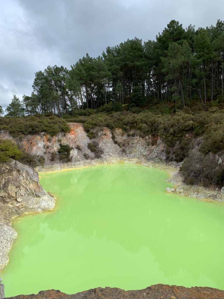 5 Best Things To Do In Rotorua For Kids. Fun Family Travels