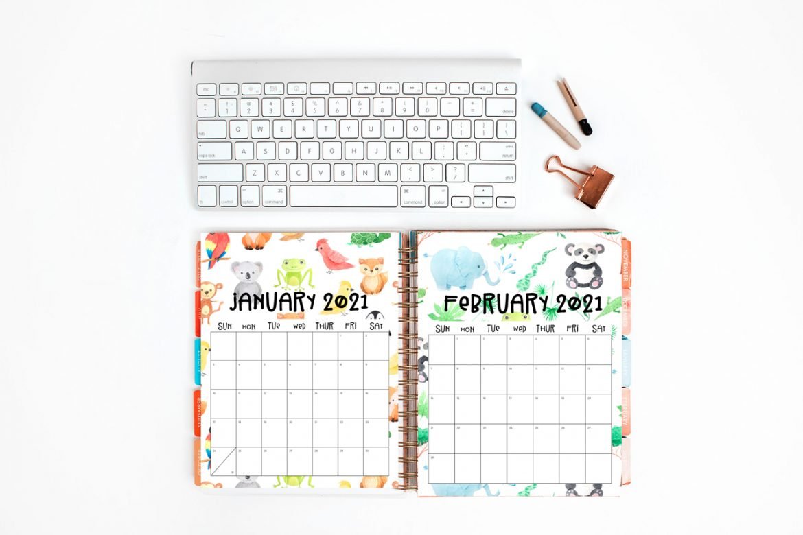 Back To School Planner 2021: Jungle Friends Monthly Planner