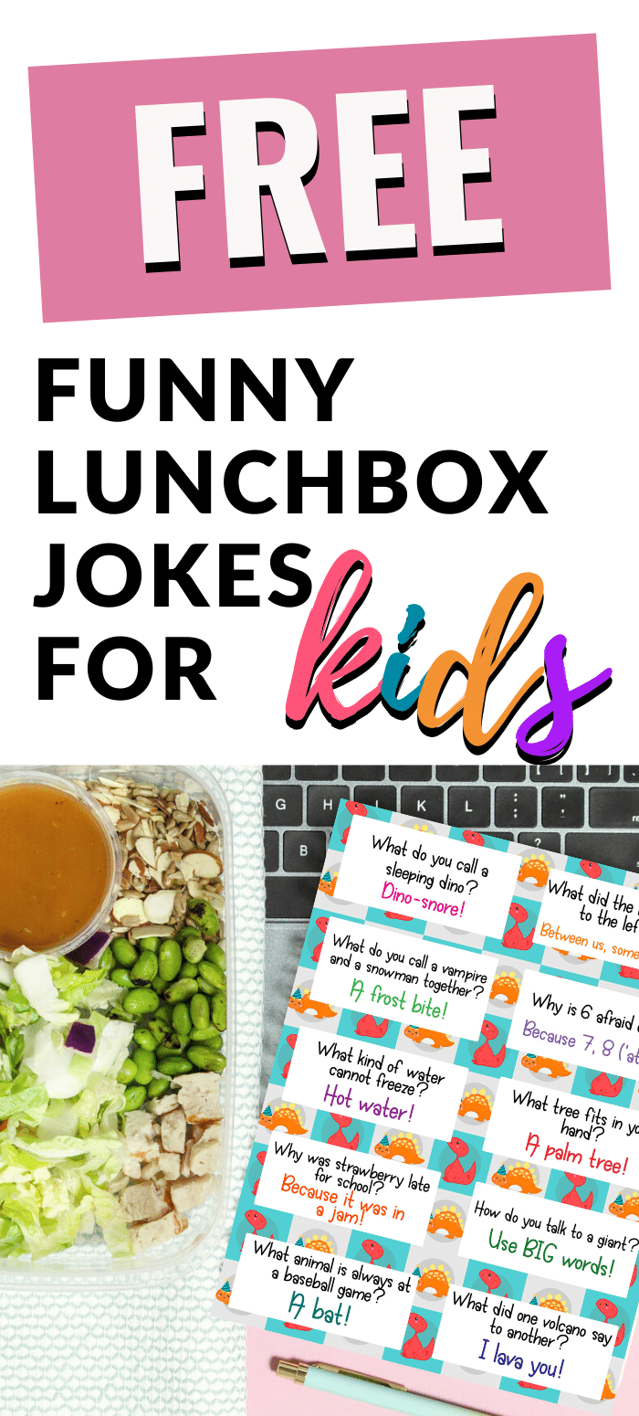 20 Funny Lunchbox Jokes For Kids