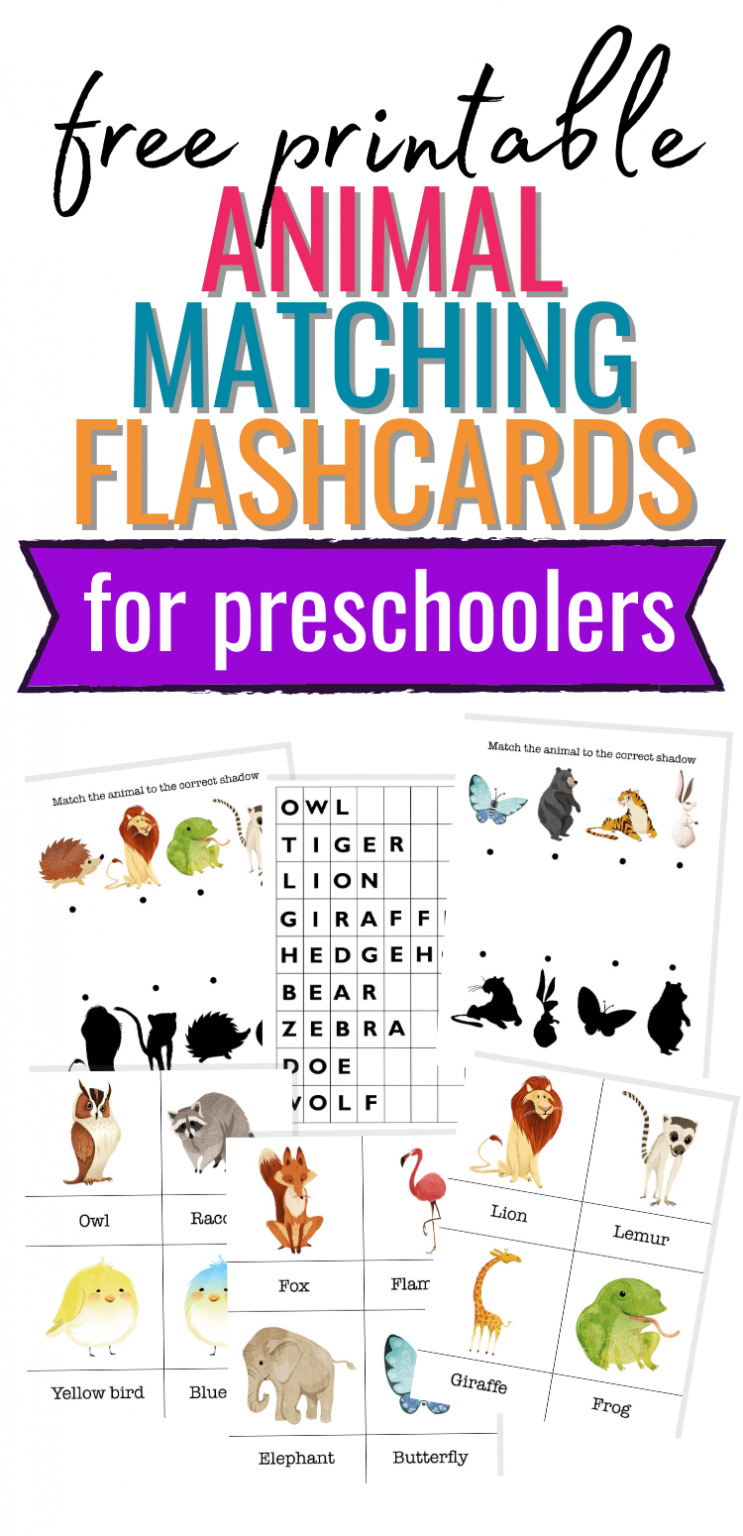 Free Animal Matching Printable Flashcards For Preschoolers